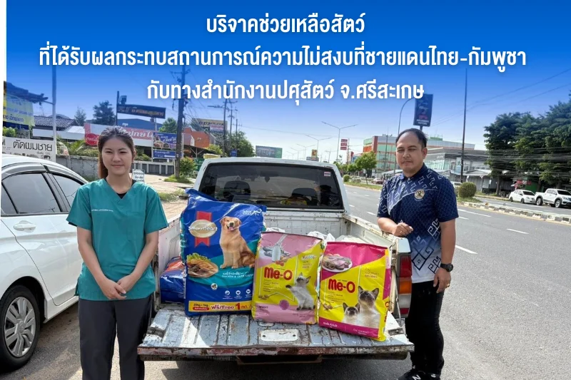 Donate to Support Animals Affected by the Thai-Cambodian Border Unrest ...