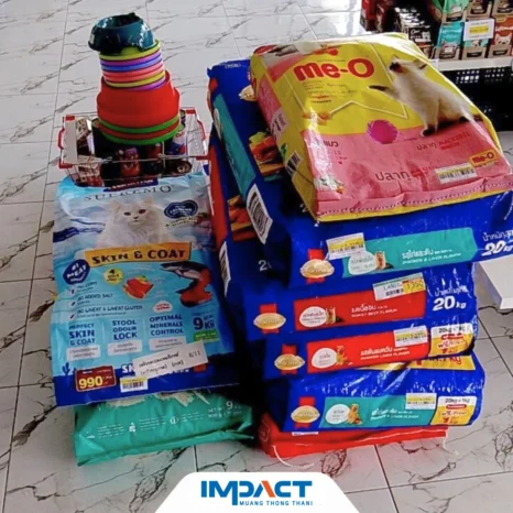 Donate to Support Animals Affected by the Thai-Cambodian Border Unrest ...